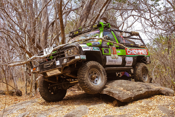 EC 2019 The Swamp Donkeys | Elephant Charge